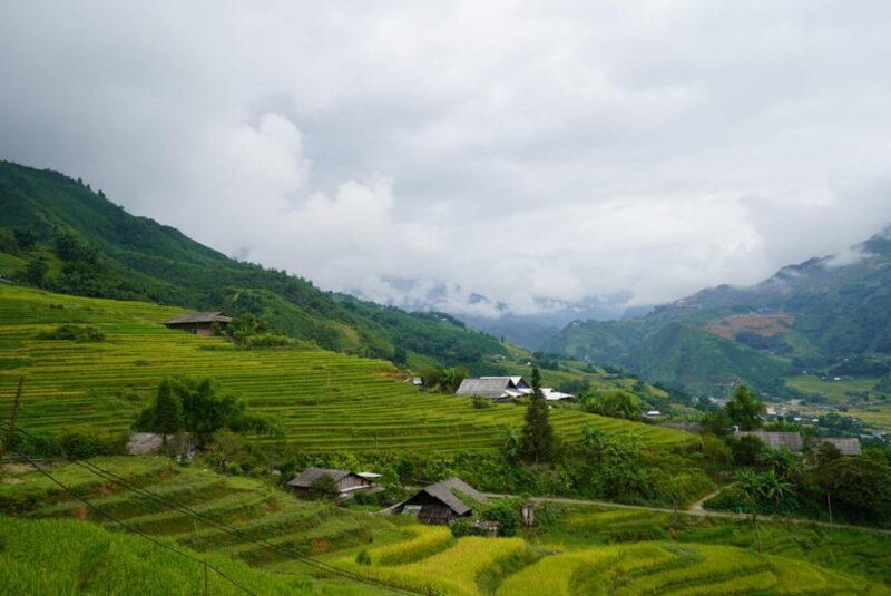 Sapa Hoang Lien National Park & Tribal Village Trek Private - Picnic Lunch in Wilderness