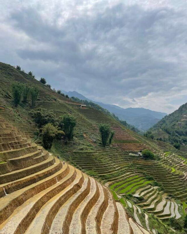 Sapa Motorbike Private Full Day Tour With Cat Cat Village - FAQ