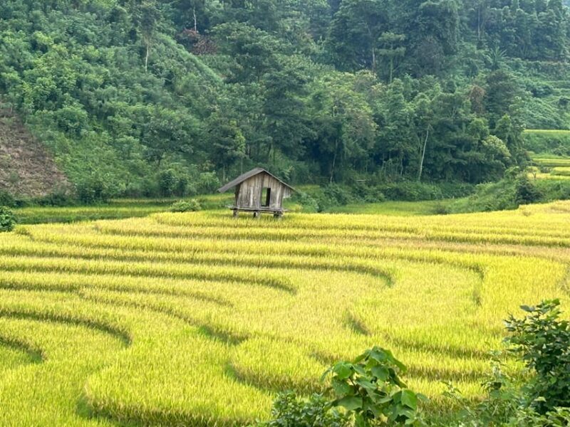 Sapa: Motorbike Tour 1 Day Visit Waterfalls & Local Villages - Who Should Consider This Tour?