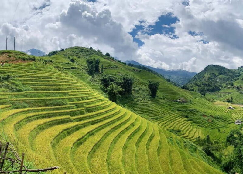 Sapa: Motorbike Tour to Hidden Villages & Terraced Fields - FAQ