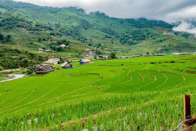 Sapa, Muong Hoa Valley - 1 Day Hiking & Cultural Experience - Day 2: Exploring Giang Ta Chai and Market Day