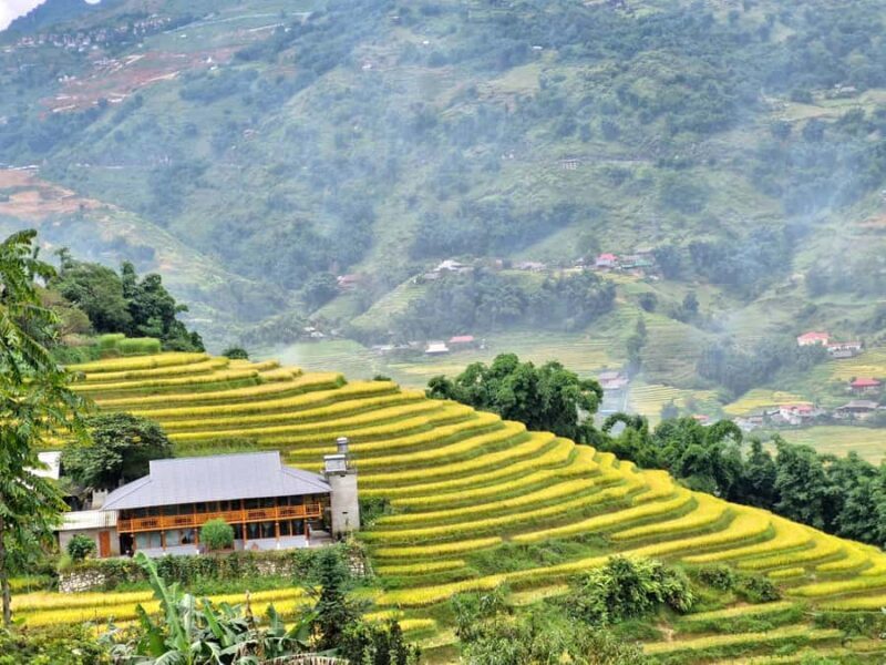 Sapa : Muong Hoa Valley 1 Day Trek  Stunning Rice Terraces - FAQ