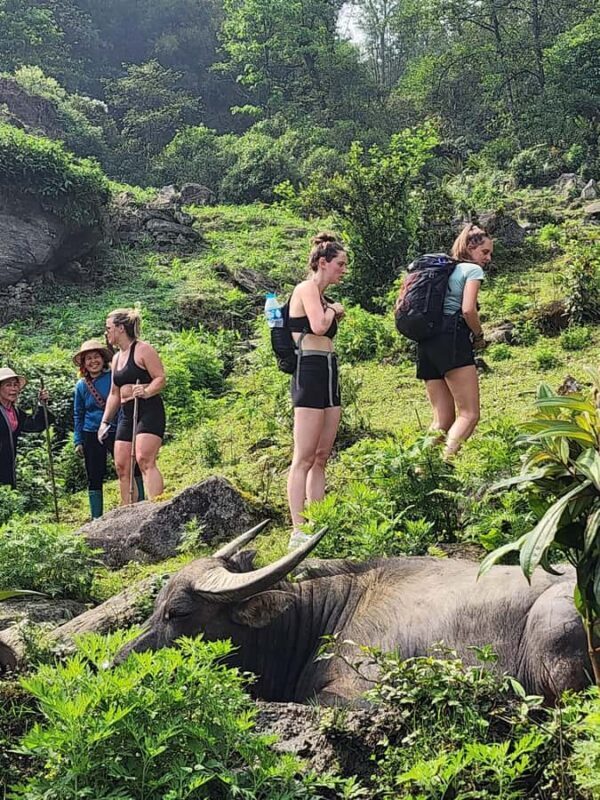 Sapa: One Day Trekking With Local Guide & Lunch - Lunch at a Family-Run Eatery