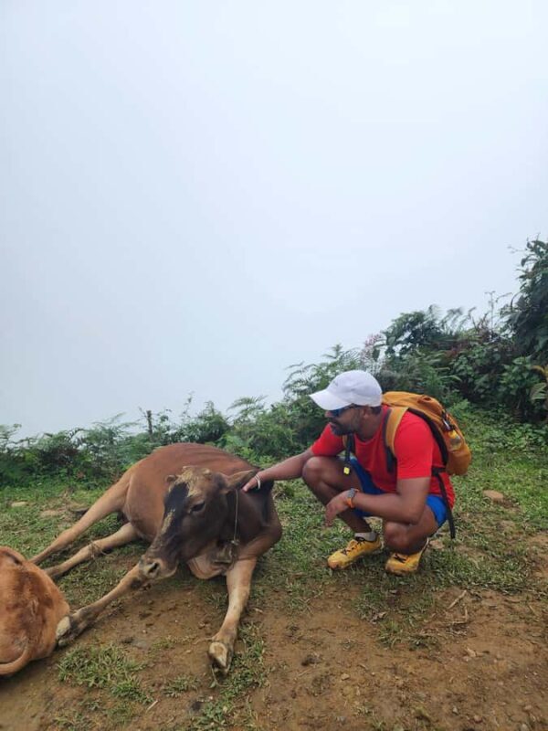 Sapa: One Day Trekking With Local Guide & Lunch - What Travelers Are Saying