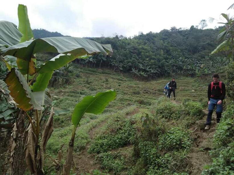Sapa: Private Authentic Trek to Remote ethnic Villages - Who Should Consider This Tour?