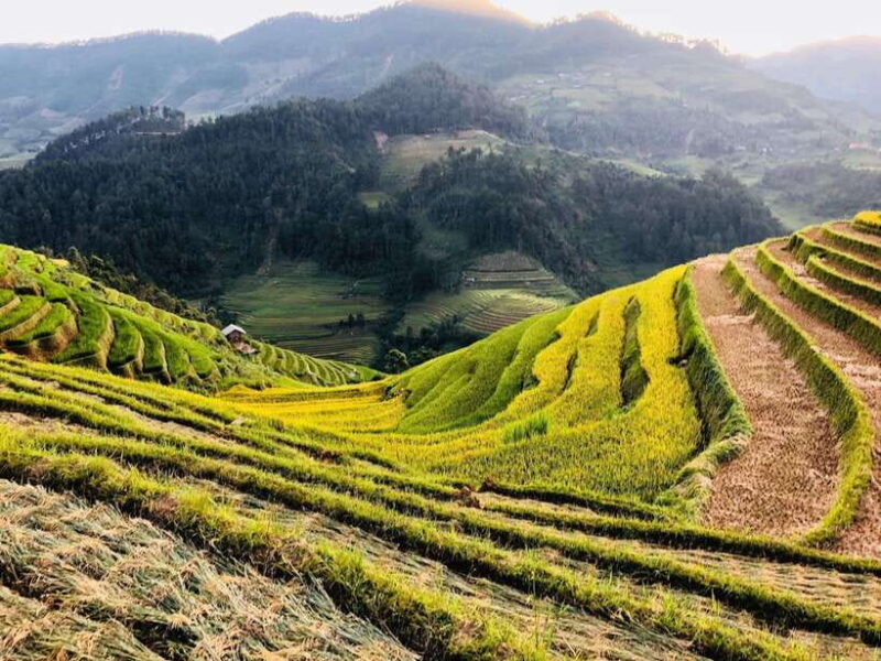 Sapa: Private Highlights Day Tour with Lunch - The Experience: What to Expect