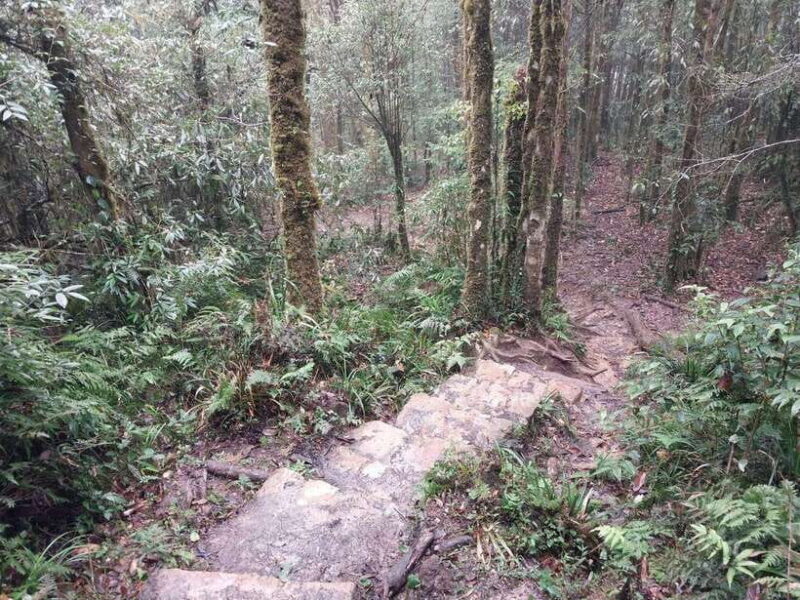 Sapa: Private Highlights Day Tour with Lunch - Final Thoughts
