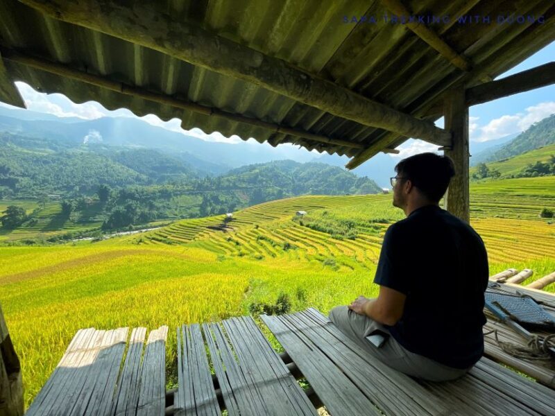 Sapa: Private Muong Hoa Valley and Homestay Trekking 2-Day - An In-Depth Look at the 2-Day Sapa Trekking Tour
