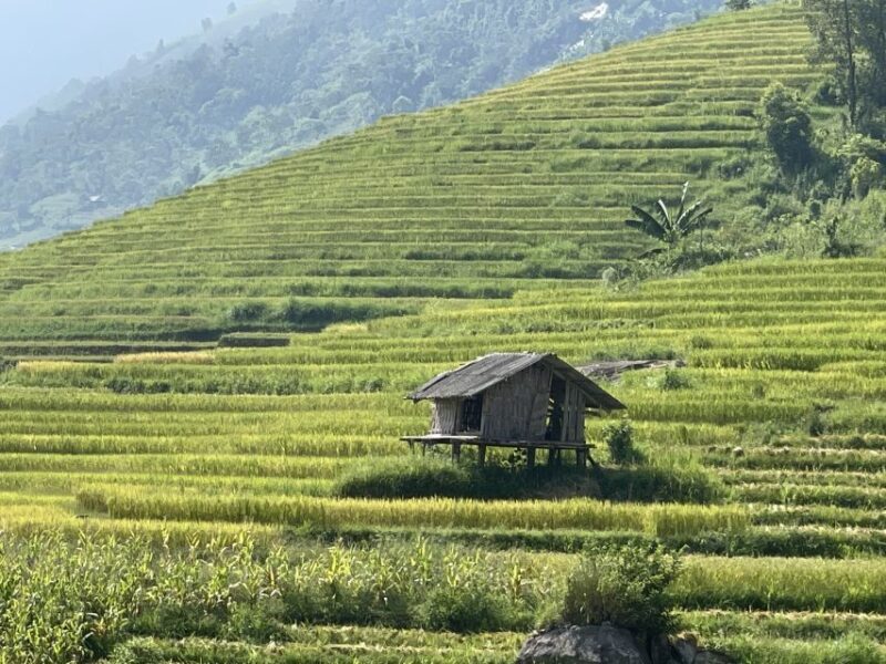 Sapa: Private Muong Hoa Valley and Homestay Trekking 2-Day - Who Is This Tour Best For?