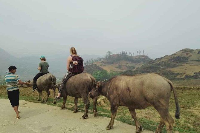 Sapa private: One day of funny Buffalo Ride & Trekking Tour - The Real Value of the Experience