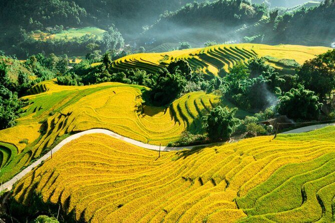 Sapa Private Tour - An Honest Look at the Sapa Private Tour