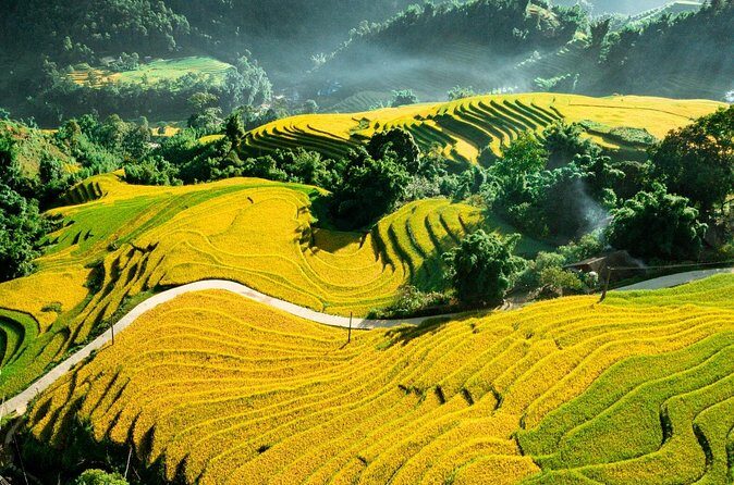 Sapa Private Tour - Who Should Book This Tour?