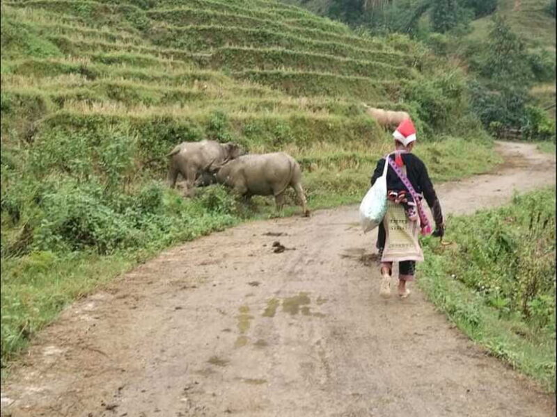 Sapa: Private trek to Muong Hoa Valley - Practical Considerations