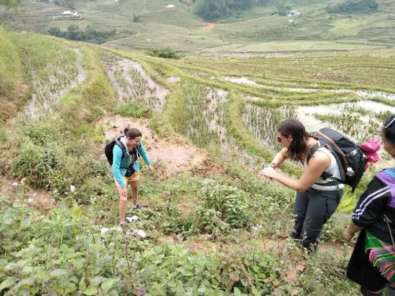 Sapa: Private trek to Muong Hoa Valley - Authenticity, Value, and Who Will Love It