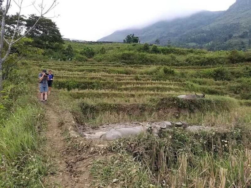 Sapa: Private trek to Muong Hoa Valley - FAQs