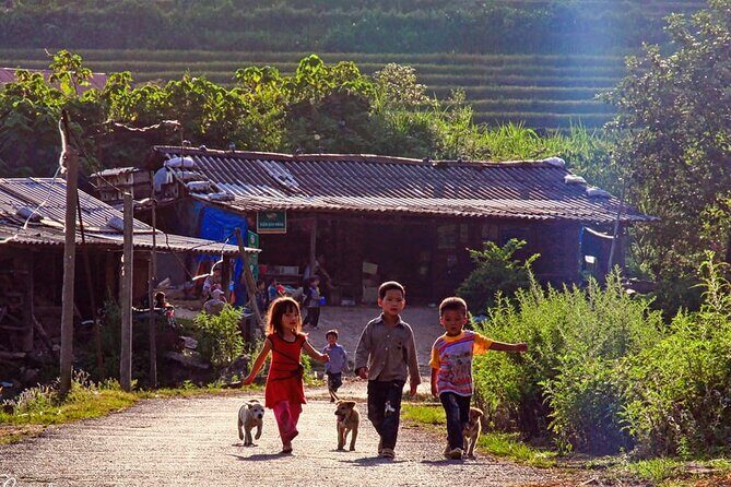 Sapa: Scenic Trek Through Majestic Rice Terraces & Rural Villages - The Journey Begins: From Sapa to Y Linh Ho