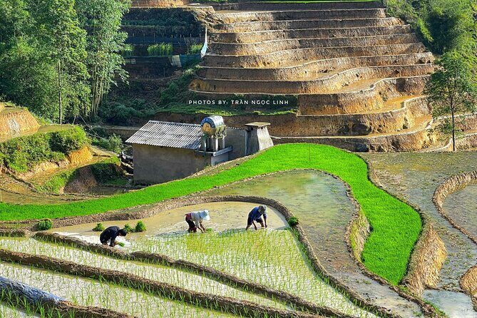 Sapa: Scenic Trek Through Majestic Rice Terraces & Rural Villages - Lunch in Ta Van Village: A Rest and Cultural Experience
