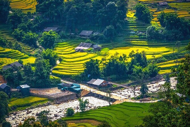 Sapa Scenic Trekking through Rice Terraces & Local Villages - What Makes This Tour Stand Out