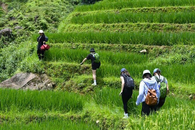 Sapa Scenic Trekking through Rice Terraces & Local Villages - The Sum Up: Who Will Appreciate This Trek?