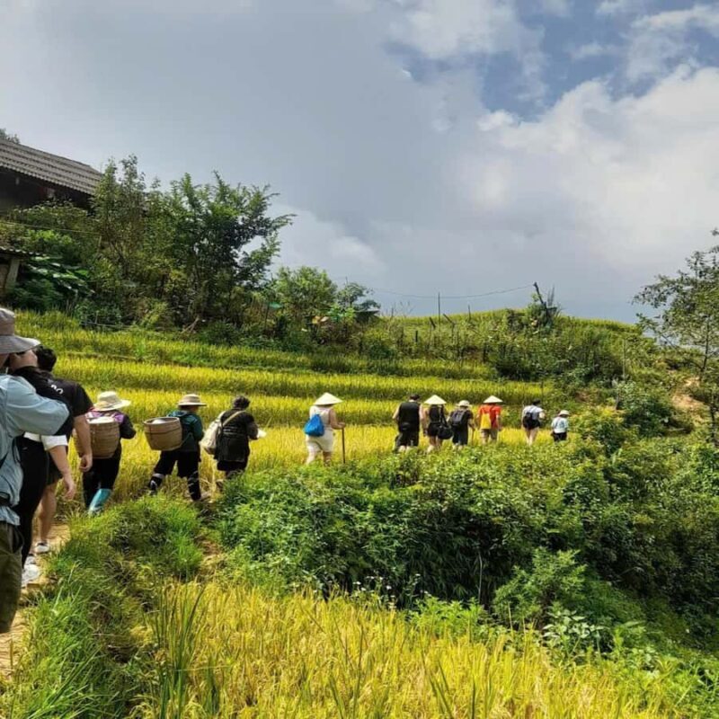 Sapa Small Group 2-Day Fansipan & Village Trekking - The Sum Up