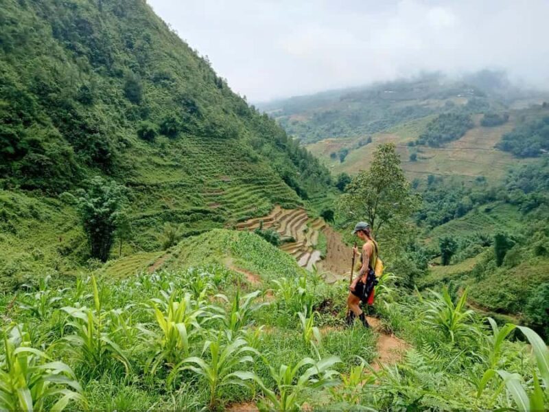 Sapa: T Van to Su Pan Guided Trek with Local Guide - Key Points
