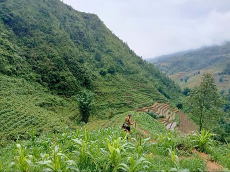 Sapa: T Van to Su Pan Guided Trek with Local Guide - The Value of This Trek