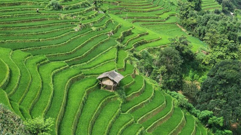 Sapa: T Van to Su Pan Guided Trek with Local Guide - Who Will Love This Tour?