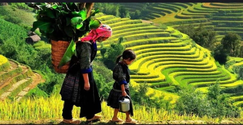 Sapa: Ta Phin Village Trek & Red Dao Herbal Bath - The Itinerary in Detail