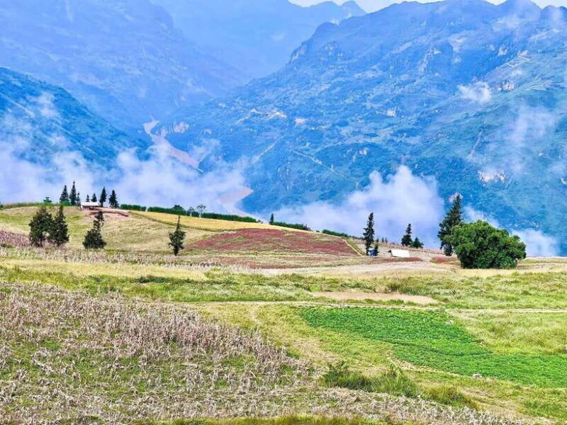 Sapa: Ta Phin Village Trek with Lunch and Bathing Experience - Introduction: Authenticity & Scenic Beauty in One Day