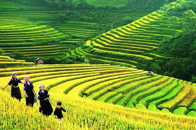 Sapa Tours 2D1N stay At 4 stars hotel nice Sleeping Bus TRANSFER - The Itinerary Unpacked: What You Can Expect