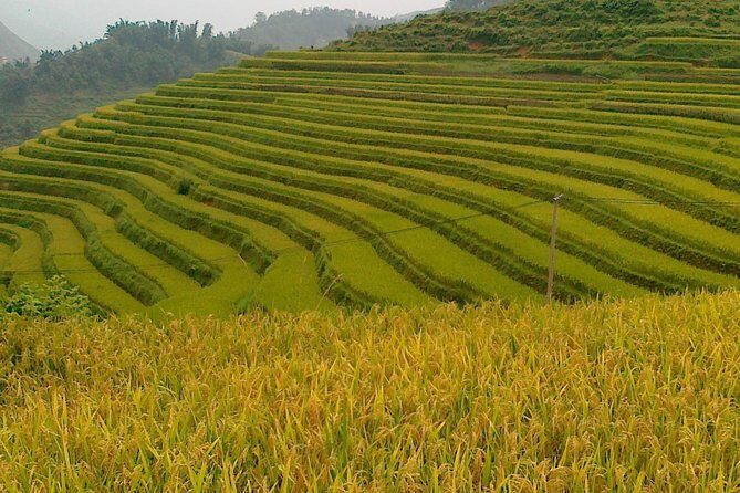 Sapa tours - An In-Depth Look at the Sapa Experience
