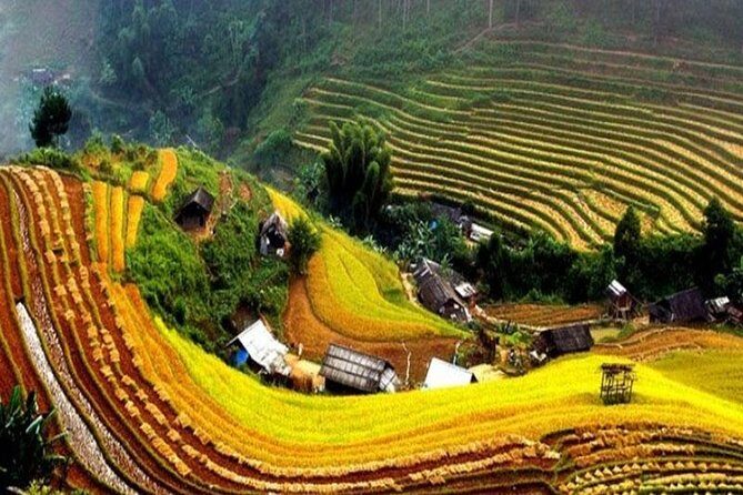 Sapa Trekking 2 Days - 1 Night, Homestay or Hotel by Sleeping Bus - The Cultural and Scenic Highlights