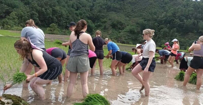 Sapa: Trekking 2 days 1 night in homestay - What Makes This Trip Special?