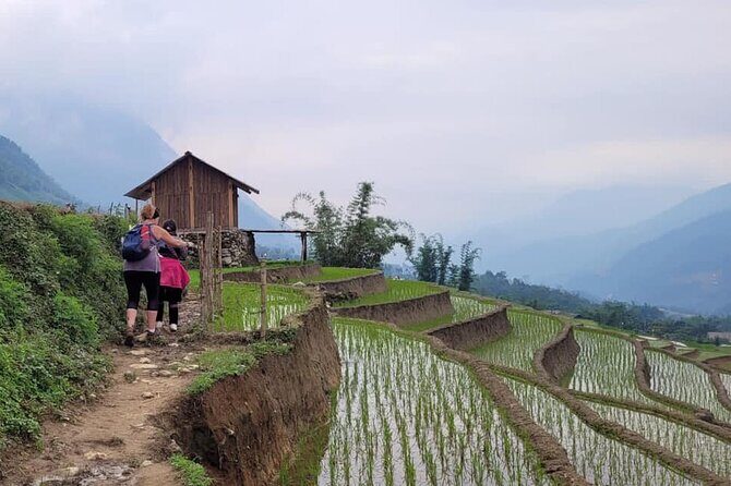 Sapa Trekking 2 Days 1 Night Transfer By Sleeper Bus - An In-Depth Look at the Sapa Trekking Tour
