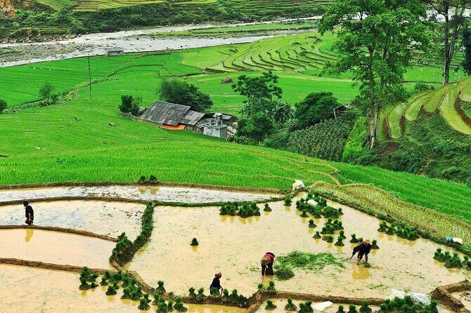 Sapa Trekking 2 Days 1 Night Transfer By Sleeper Bus - Final Thoughts: Who Will Love This Tour?