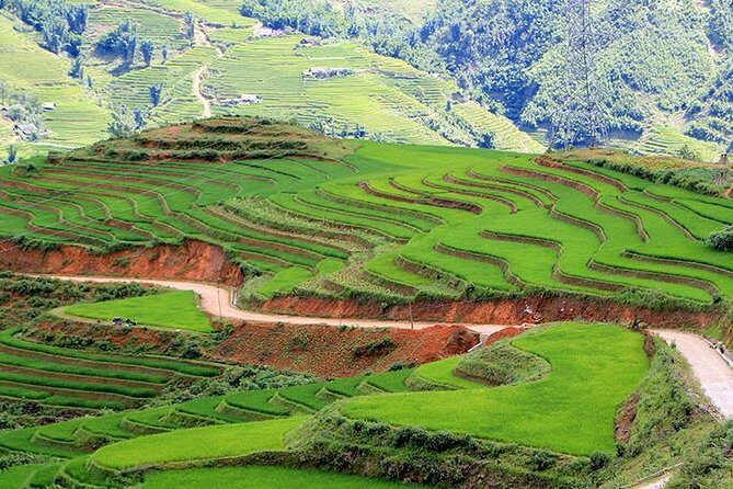Sapa trekking 2 days 2 nights group tour - homestay from Hanoi - An Honest Look at the Itinerary and What You Can Expect