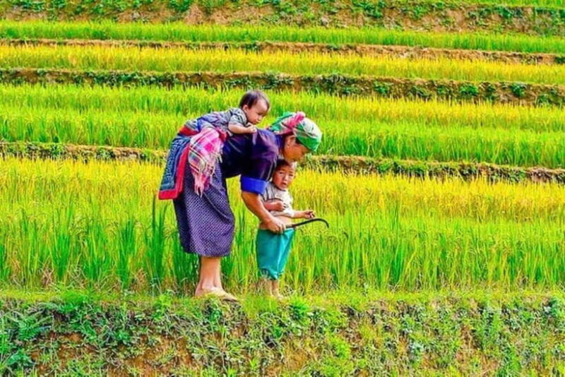 Sapa Trekking 3 Days 2 Night - VIP Sleeper Bus from Hanoi - What We Like About the Tour