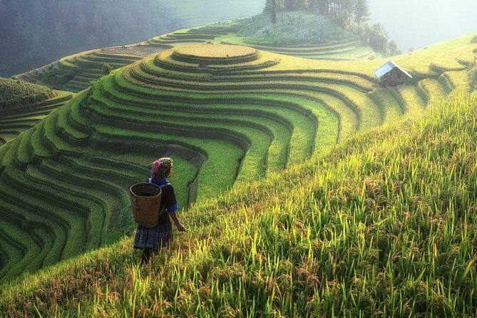 Sapa Trekking 3 Days 2 Nights by Bus - Homestay & Hotel - A Deep Dive into the Sapa Tour Experience