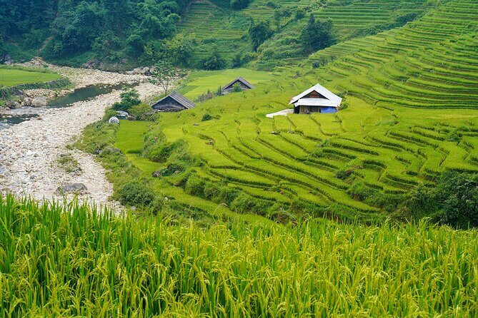 Sapa Trekking 3 Days 2 Nights (Homestay) - Departure From Hanoi - Homestays and Food