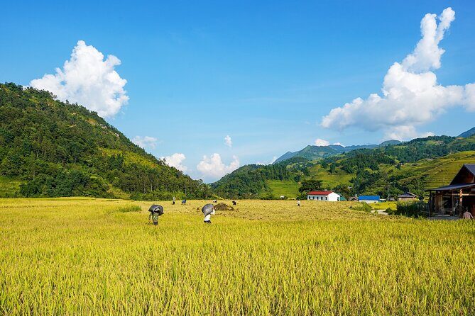 Sapa Trekking 3 Days 2 Nights (Homestay) - Departure From Hanoi - Who Should Book This Tour?