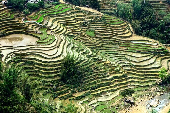 Sapa Trekking 3Day - 2 Night By Sleeper Bus - FAQ
