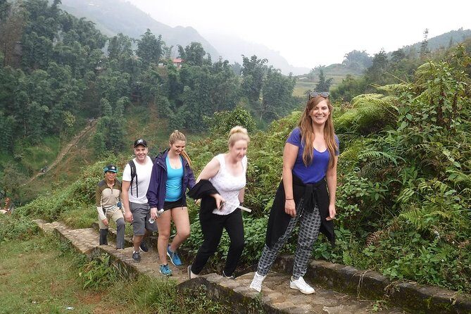 Sapa Trekking Adventures - What Visitors Say: Authentic Feedback