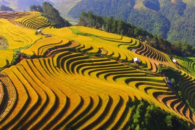 Sapa trekking at homestay from Hanoi - Frequently Asked Questions