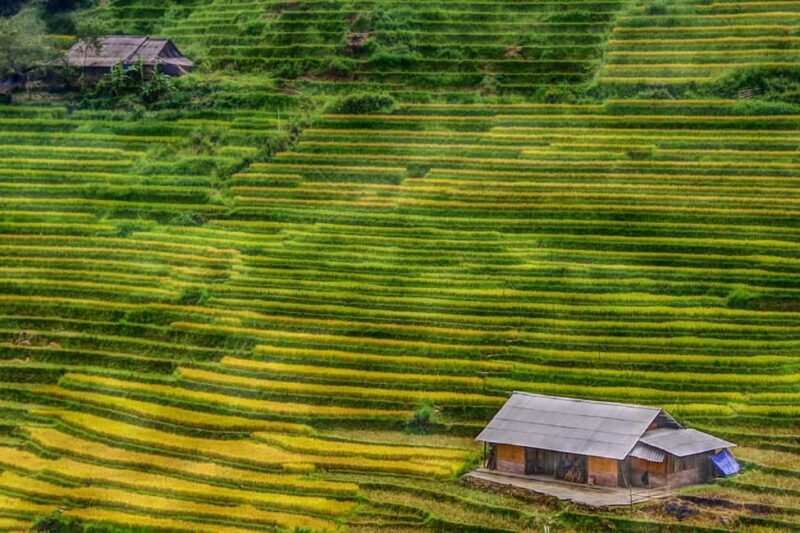 Sapa Trekking Bargains With Local Guide - Who Will Love This Tour?