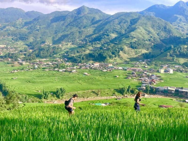 Sapa Trekking Discover Terraced Fields & Ethnic Villages - The Sum Up