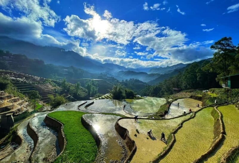 Sapa Trekking Explore Terraced Rice Fields, Ethnic Culture - Key Points