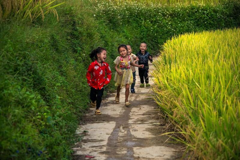 Sapa Trekking Explore Terraced Rice Fields, Ethnic Culture - Practical Considerations