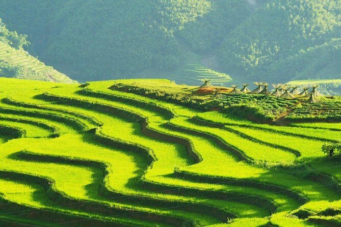 Sapa Trekking Group Tour by Bus from Hanoi with 2 Nights Hotel stay - An In-Depth Look at the Sapa Trekking Experience