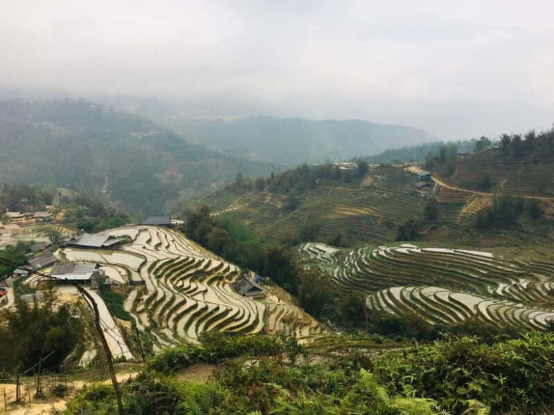 Sapa Trekking Guide Francophone 2 days  1 night - A Deep Dive into the Experience: What Makes This Tour Special