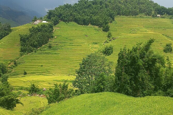 Sapa Trekking / Hiking through Sapa Valley with native Hmong - An Authentic Journey into Sapa’s Landscapes and Culture